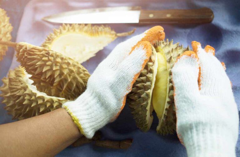 Guide to Easy Durian Packing and Peeling - MAKESEND Sameday Delivery