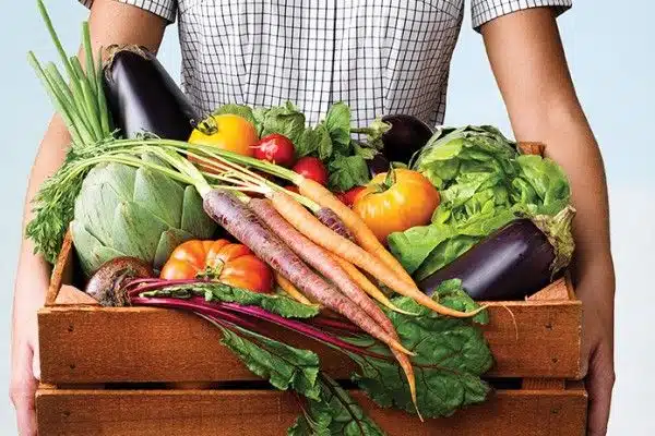 Share how to deliver fresh vegetables Choose the right packaging for each type of vegetable delivery MAKESEND Sameday Delivery
